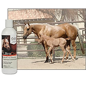 UltraCruz - sc-395309 Equine Oatmeal Horse Shampoo, 16 oz