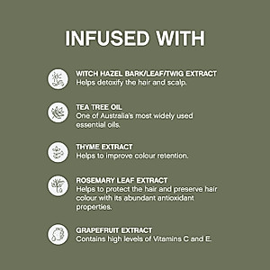 KEVIN.MURPHY MAXI.WASH - Detox Shampoo - Removes Build-Up & Minerals - Colour Safe Shampoo - Also a Scalp Shampoo - Sulphate Free & Paraben Free - 250 mL / 8.4 fl oz