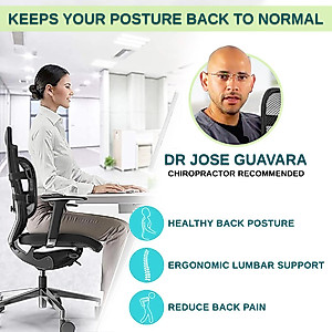 Lumbar Support with Breathable Mesh Layers and Double Sturdy Adjustable Straps, Comfortable Ergonomic Backrest for Office Chair and Car Driver Seat, Posture Cushion and Lower Back Support Pain Relief