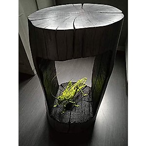 Coffee Table Made From Wood Available In Different Height and Color, Book Stand, Trunk Table