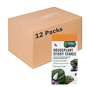 Safer Brand 5026 Houseplant Sticky Stake Insect Traps for Indoor Plants - Controls Fungus Gnats, Whiteflies, Midges, Thrips, Fruit Flies, and Black Flies - 12 Pack, 84 Traps