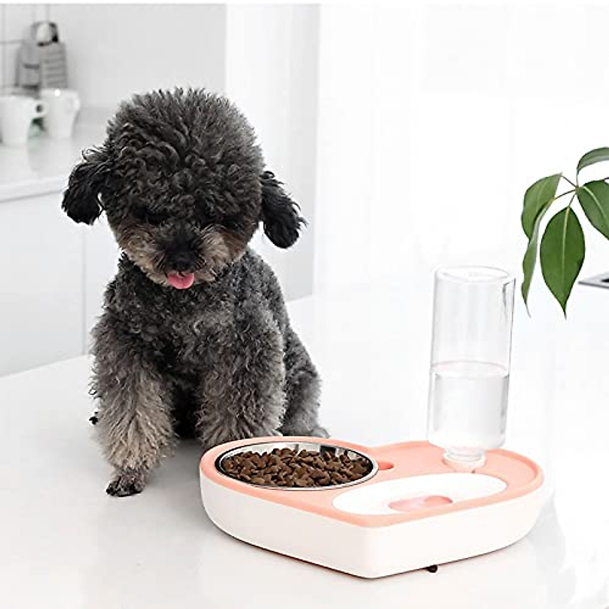 FUUIE Bowls for Food and Water Heart Pet Bowl for Water and Food Dual Use Cat Bowl Automatic Water Feeding Bowl Creative Dog Food Bowl Stainless Steel (Color : Blue)