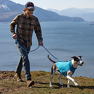 Kurgo Core Dog Sweater, Knit Dog Sweater with Fleece Lining, Cold Weather Pet Jacket, Zipper Opening for Harness, Adjustable Neck, Year-Round Sweater for Small Dogs (Heather Green, Small)