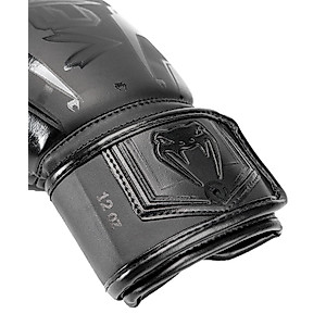 Venum Elite Evo Boxing Gloves - Black/Black