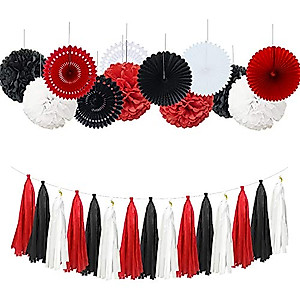 InBy 29pcs Red Black White Mickey Minnie Mouse Ladybug Birthday Wedding Baby Shower Bachelorette Party Decoration Kit - 12" 10" Tissue Paper Pom Pom, Tassel Garland, Circle Dot Garland, Paper Fan