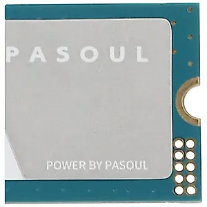 PASOUL SSD 256GB NVMe M.2 2280 PCIe Gen 3.0 x2 3D TLC Power Saving Up to 2000MB/s Write Up to 1200MB PAMNVMeM2-256