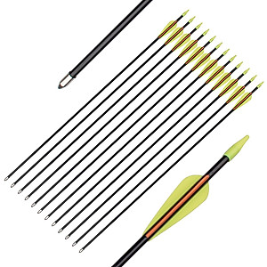 Practice Fiberglass Arrows Archery 28 Inch Target Shooting Safetyglass Recurve Bows Suitable for Youth Children Woman Beginner 6PCS Pack
