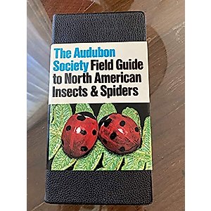 National Audubon Society Field Guide to North American Insects and Spiders