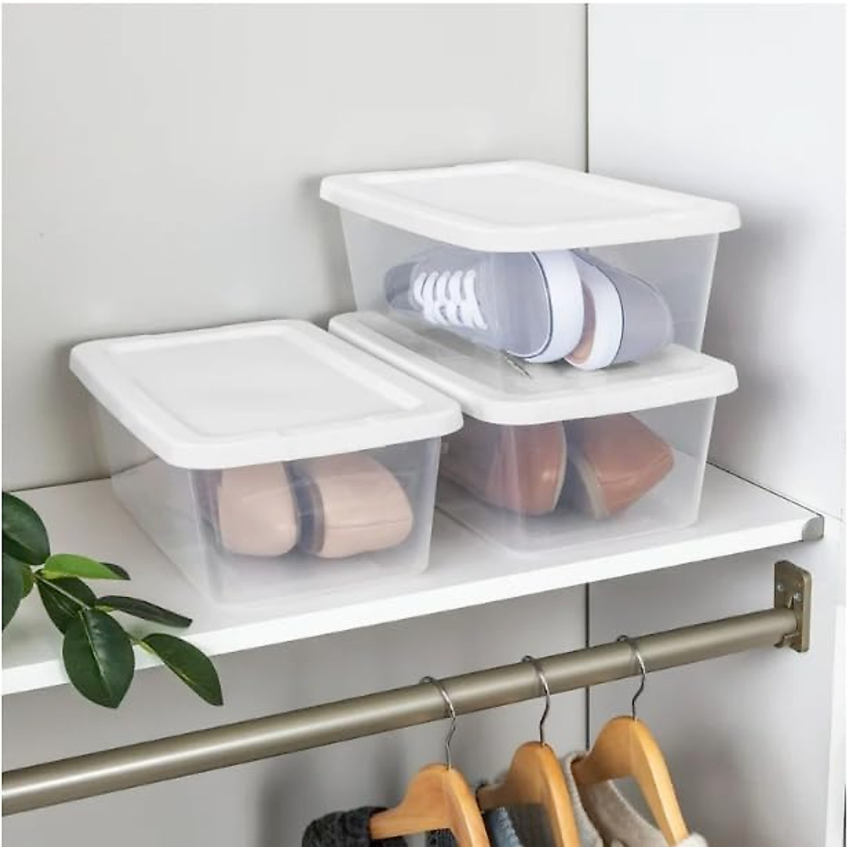 Sterilite Storage Boxes, 13.5L x 8W x 4.8H inches (34.3 x 20.3 x 12.2 cm), 6 QT, Clear with White Lid, Pack of 10