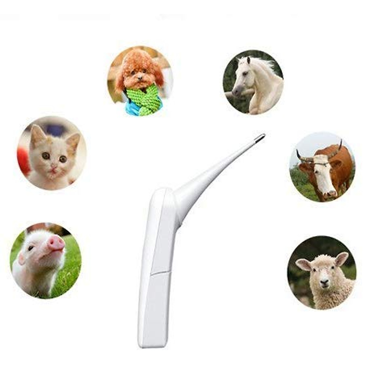 AURYNNS Pet Thermometer Dog Thermometer, Fast Digital Veterinary Thermometer, Pet Thermometer for Dogs, Cats, Horse,Cattle, Pigs,Birds, Sheep.(Battery Included)