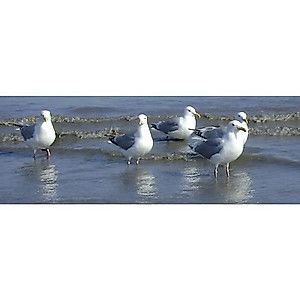 CafePress Seagull Heaven Mug Ceramic Coffee Mug, Tea Cup 11 oz