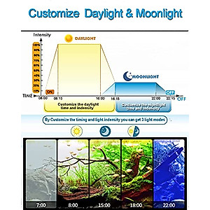 MingDak LED Aquarium Fish Tank Light Fixture,Full Spectrum Lighting for Freshwater Planted Aquariums,Slim & Thin Aluminum Housing,Extendable Brackets Fit 12" to 18" Fish Tank Model MDGLSD01B-12S