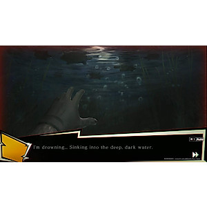 Spirit Hunter: NG - PlayStation 4 Standard Edition