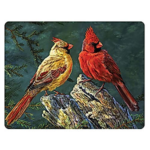 Rivers Edge Products Large 12in x 16in Decorative Tempered Glass Cutting Board, Hypoallergenic, Non Slip, Textured Surface Chopping Board for Kitchen, Cute Birds for Bird Watcher, Cardinal