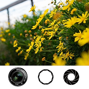 Meike 35mm f0.95 Large Aperture Manual Focus Prime Fixed Lens APS-C Compatible with Panasonic Lumix Olypums M43 Mount Mirrorless Cameras GH4 GH5 GH6