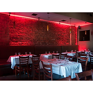 ADJ Products, Mega Bar RGBA, Energy Efficient and Durable 42 Inch Linear Fixture MEG040