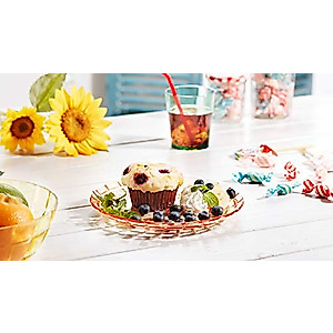 SCANDINOVIA - Unbreakable Premium Tableware - Set of 6 - Tritan Plastic - Perfect for Gifts - BPA Free - Dishwasher Safe - Stackable (9 3/4" Plates)