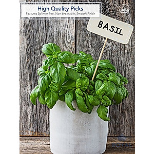 Royal Imports 18" Natural Bamboo Wood Plant Stake, Floral Picks, Roasting Sticks, Wooden Kebob Grilling Skewers, Sign Posting (100 Pcs)