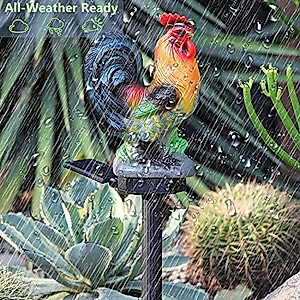 ZFNN Solar Rooster Lights Outdoor Decorative,Solar Chicken Decor Garden Stakes Lights,Waterproof Chicken Statue with Led Lights Yard Art for Pathway Lawn Patio Courtyard Backyard(Warm White)