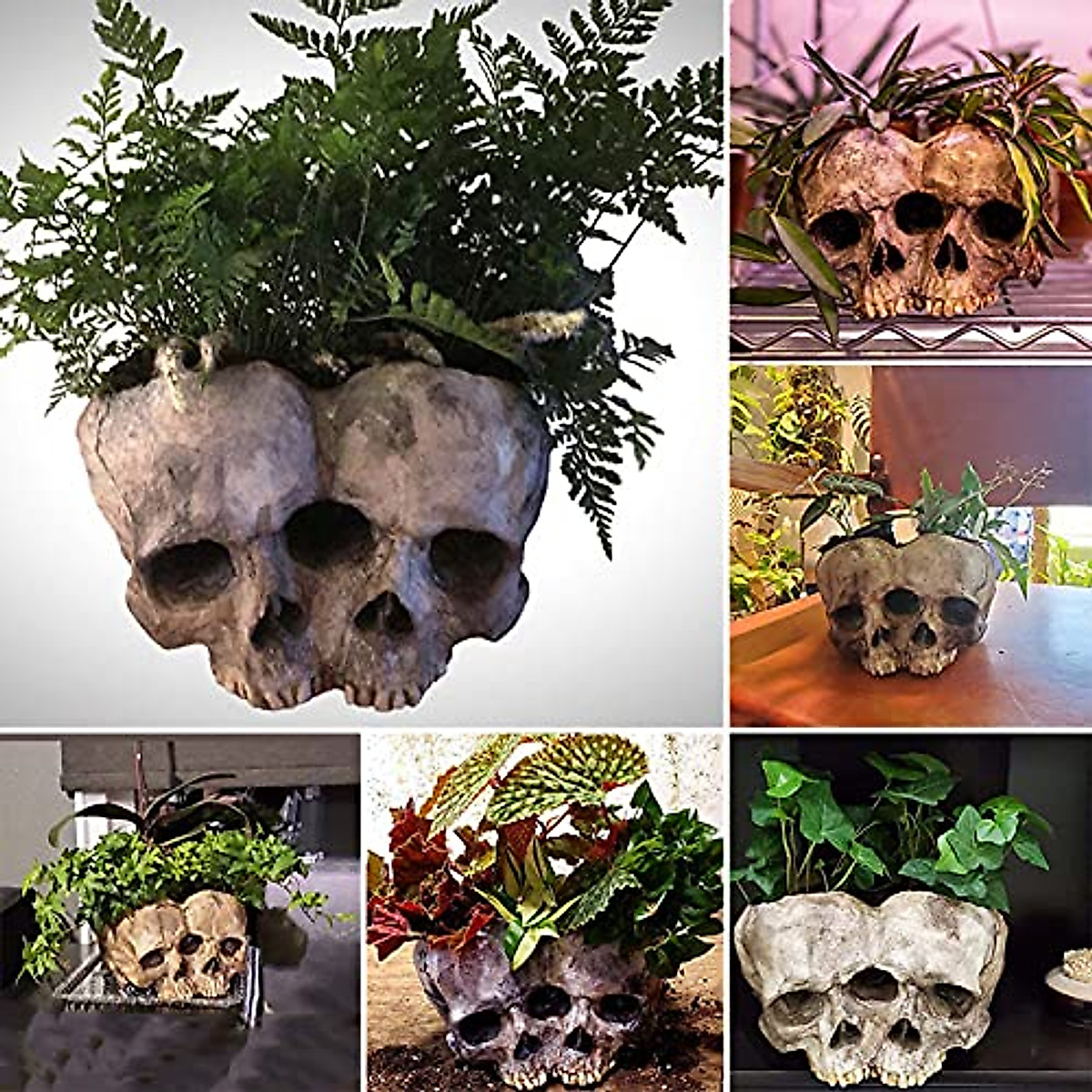 BEFOKA Resin Skull Planter, Gothic Retro Skull Head Flower Succulents Pot, Outdoor Indoor Garden Planter, Gothic Statue Sculpture Skeleton Decor (A)