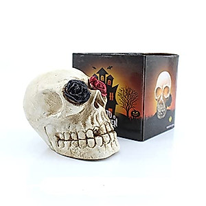 Defaar Halloween Decorations Outdoor Lighted,Halloween Lights Indoor for Halloween Party Home Garden Tree Porch Decoration (Size : Eye)