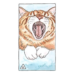 Cat Tarot: 78 Cards & Guidebook (-)