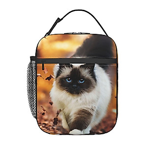 JASMODER Custom Insulated Lunch Box,Personalized Lunch Bag,Reusable Lunchbox Tote For Gifts,Office, Work, Picnic, Hiking