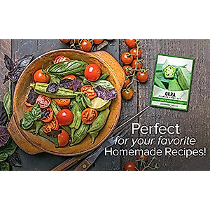Okra Seeds for Planting - Clemson Spinless Heirloom, Non-GMO Vegetable Variety- 3 Grams Seeds Great for Summer Gardens by Gardeners Basics