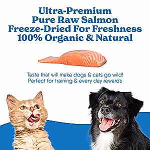 Fat-Cat Fish - Organic Crunchy Treats for Pets - Freeze-Dried 100% Raw Wild Salmon Dog and Cat Treats - Natural Healthy Low Calorie Snacks w/Protein Omega 3&6 - Made in USA - Pack of 3 (1.25 oz x 3)
