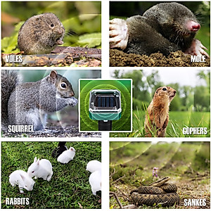 Solar Mole Repellent, 8 Pack Ultrasonic Mole Repellent Solar Powered, Waterproof Snake Vole Gopher Repellent for Garden & Yard (Green)