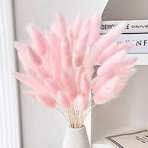 60PCS Rabbit Tail Grass Dried Flowers Dried Natural Floral Arrangement Bunch Decoration Dried Grass,Eternal Flower Dried Grass for Home,Wedding,Party,Flower Bouquet,Photo Props Decor (Light Pink)