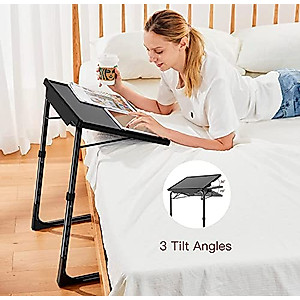 Totnz TV Tray Table, Folding TV Dinner Table Comfortable Folding Table with 3 Tilt Angle Adjustments for Eating Snack Food, Stowaway Laptop Stand (2 Pack)