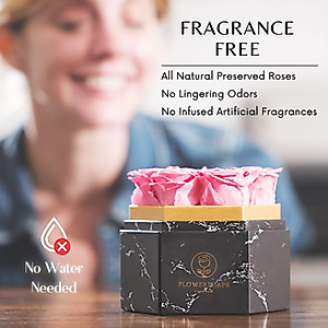 Forever Rose Flowers Delivery Prime - Fresh Bouquet - Valentines Mothers Day Birthday Anniversary for Women Mom Wife Girlfriend and Her - 7Pcs (Hexagon-Pink)