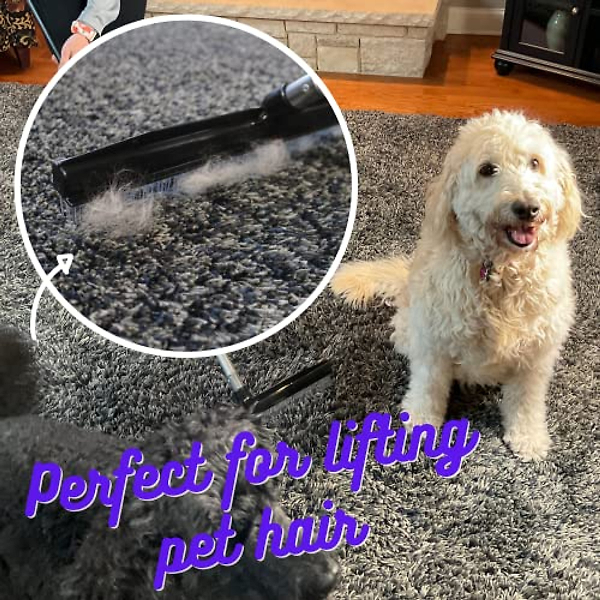 Room Groom PET Carpet Rake and Groomer with Telescoping 54 Inch Adjustable Handle, Rugs, and Artificial Turf, Purple Grip, Black/Purple