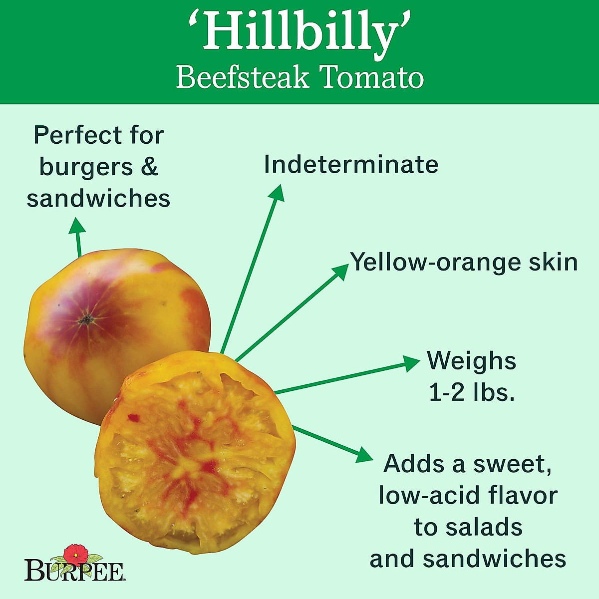 Burpee 'Hillbilly' Heirloom | Yellow Slicing Tomato | 30 Seeds