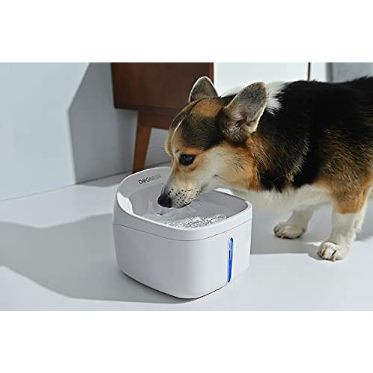 DOGNESS Pet Fountain Cat Water Dispenser Healthy and Hygienic Drinking Fountain 2L Automatic Electric Water Bowl for Dogs, Cats, Birds and Small Animals (White)