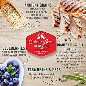 Chicken Soup For The Soul Classic Dry Small Bites Adult Dog Food, Chicken, Turkey & Brown Rice Recipe, 4.5 Pound Bag | Soy, Corn & Wheat Free, Small Breed Dog Food Made with Real Ingredients