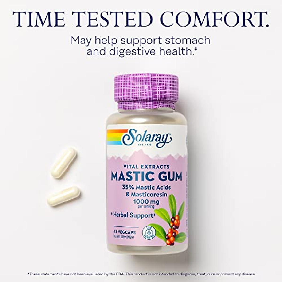 SOLARAY Mastic Gum 1000 mg, Gut Health and Digestion Supplement with 35% Mastic Acids and Masticoresins, Stomach Formula for Digestive Support, 60-Day Money Back Guarantee, 22 Servings, 45 VegCaps