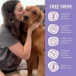 Health Extension Little Cups Grain-Free Wet Dog Food, Puppy Pate - Turkey 3.5 oz - Nutrient-Rich, Easy to Digest, Ideal for Puppies (Case of 12 Cups)