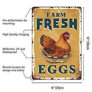 Metal Signs Funny Chicken Coop Decor, Farm Sign for Home Kitchen Outdoor Plaque Gifts for Chicken Fan Lovers 6 Pces 8×12 Inch