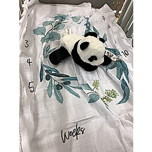 Organic Baby Monthly Milestone Blanket Newborn Boy Girl Unisex Gender Neutral| Green Leaf Wreath Eucalyptus Baby Nursery Month Picture Blanket| Growth Photography Background Prop|Birth Announcement