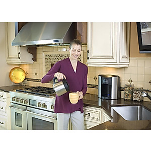 Brew Express - BEC-110 Countertop Automatic Water Filling Coffee System