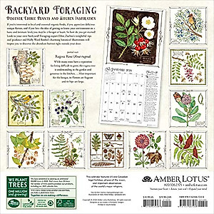 Backyard Foraging 2021 Calendar: Discover Edible Plants and Kitchen Inspiration