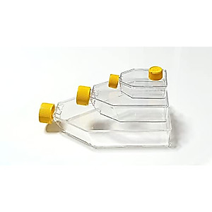 Cell Culture Flasks (T25 Flasks (Case of 100))