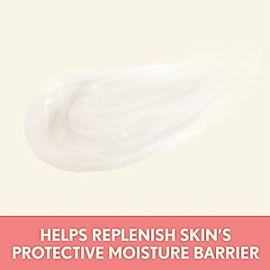 Aveeno Ultra-Calming Nourishing & Moisturizing Face & Neck Night Cream for Dry, Sensitive Skin with Calming Feverfew & Nourishing Oat, Non-Comedogenic, Oil-Free & Hypoallergenic, 1.7 oz (Pack of 3)