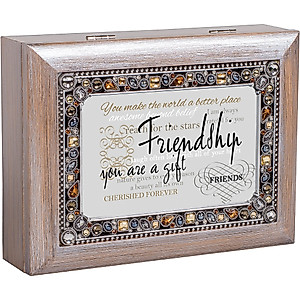 Cottage Garden Friendship You are a Gift Brushed Pewter Jeweled Music Box Plays What Friends are for
