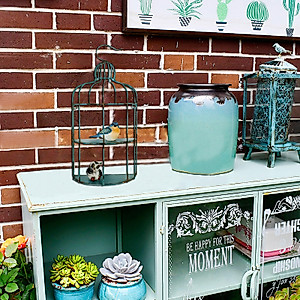 Veclotch Metal Birdcage Hanging Shelf for Wall,Decorative Wall Display Shelves 2 Tiers Distressed Rustic Bird Cage Floating Shelf Indoor Outdoor Decoration, Teal