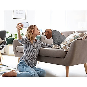 Dog Sweater Turtleneck Knitted Dog Clothes Solid Color Puppy Sweater Warm Cat Sweater Dog Sweaters for Small Dogs (Grey & XS)