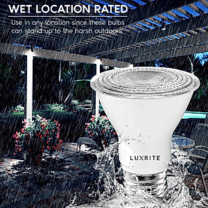 LUXRITE 4 Pack PAR20 LED Bulbs, 50W Equivalent, 5000K Bright White, Dimmable LED Spotlight Bulb, Indoor Outdoor, 7W, 500 Lumens, Wet Rated, E26 Standard Base, UL Listed