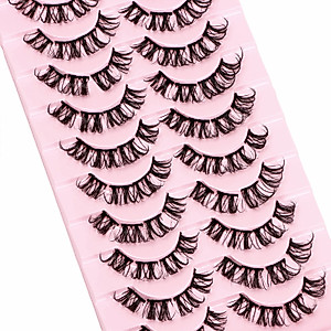 DSLONG 10 Pairs Cluster Lashes D Curl Russian Strip Lashes Fluffy False Eyelashes Individual Natural Wispy Lashes DIY Eyelashes Extension At Home (D01)